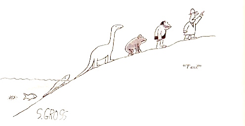 Bizarro evolution | Arnold Zwicky's Blog