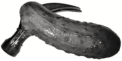 A passion for pickles | Arnold Zwicky's Blog