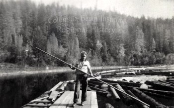 Roll my log for Pride | Arnold Zwicky's Blog