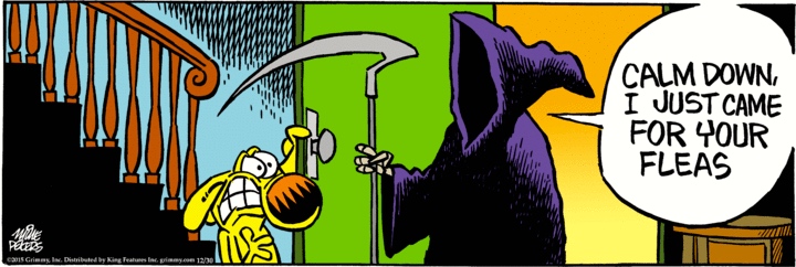 Five cartoons for the penultimate day | Arnold Zwicky's Blog