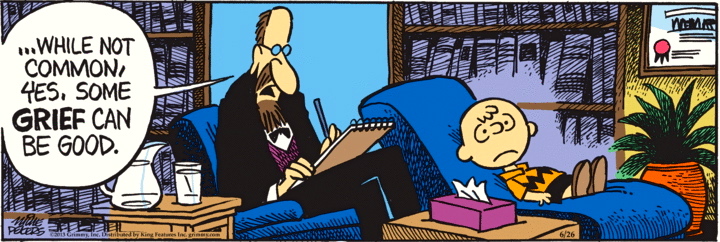 Idiomatic meta-strips | Arnold Zwicky's Blog