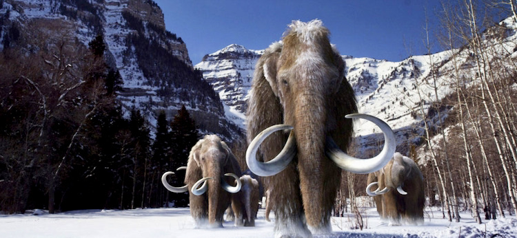A mammoth revival | Arnold Zwicky's Blog