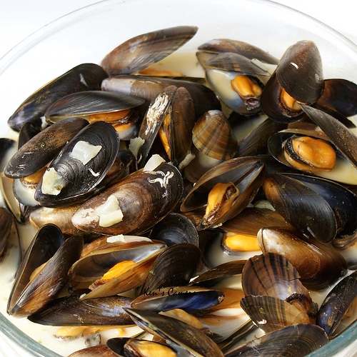 Christmas Eve mussels | Arnold Zwicky's Blog