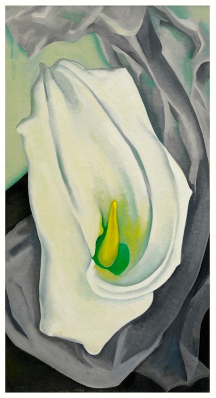 Calla, calla, calla, California | Arnold Zwicky's Blog