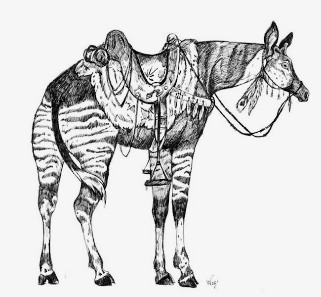 Ride the wild okapi | Arnold Zwicky's Blog