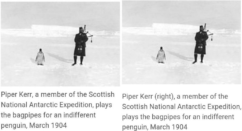 Penguins a hundred years ago, and the niceties of captioning | Arnold ...
