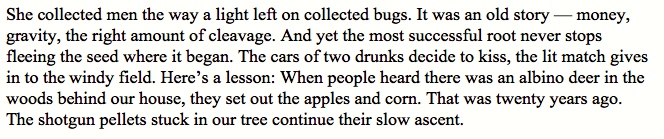 Prose poem | Arnold Zwicky's Blog