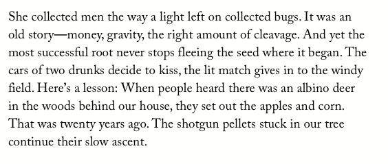 Prose poem | Arnold Zwicky's Blog