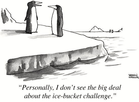 The ice-bucket challenge | Arnold Zwicky's Blog