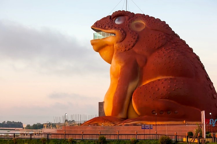 The gigantic toad | Arnold Zwicky's Blog