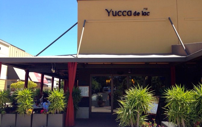 Lilyturf, bronze pin heads, and ungrammatical yucca | Arnold Zwicky's Blog