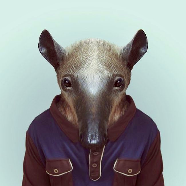 The character of a creature | Arnold Zwicky's Blog