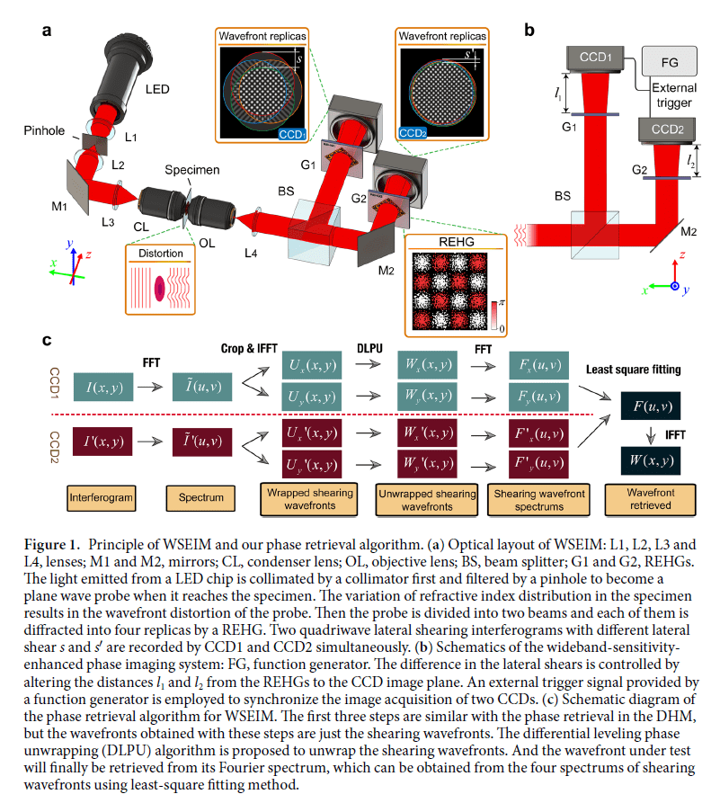 Real-time Quantitative Phase Imaging of Red Blood Cells with ArrayFire ...
