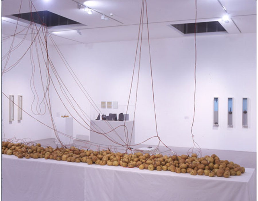 Bienal 2016: Victor Grippo - arte ref