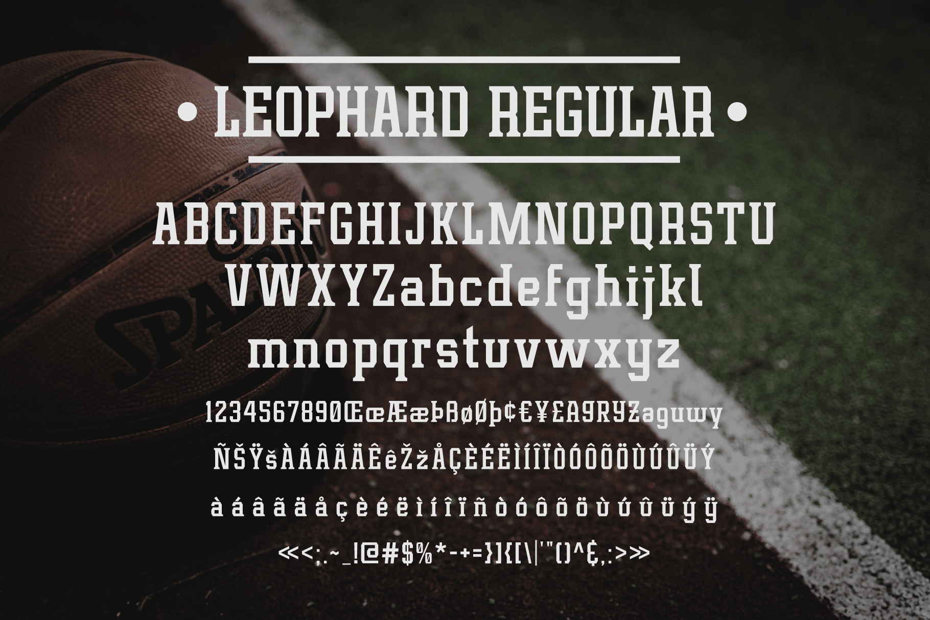 Leophard - Arterfak Project