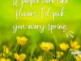 100 Spring Quotes That Ll Make Your Heart Bloom рџњё