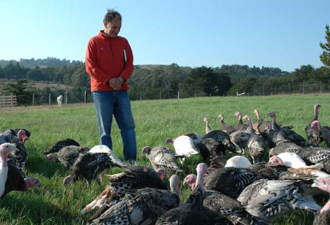 Inside Bill Niman's Mission to Raise Meat that Matters | Artful Living ...