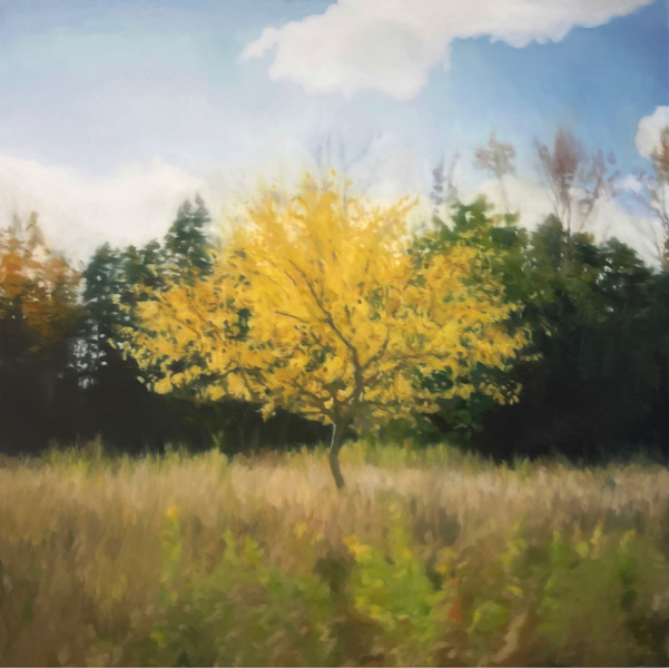 Evan Abrahamson – Edge of the Big Woods Art Wander