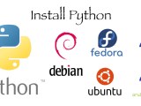 How To Install Python 3 13 0 From Source