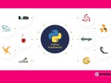7 Types And Best Python Frameworks For Developers In 2024