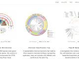 8 Iphylo Visual Iphylo Tutorial