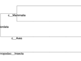 3 Tree Object Iphylo Tutorial