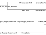3 Tree Object Iphylo Tutorial