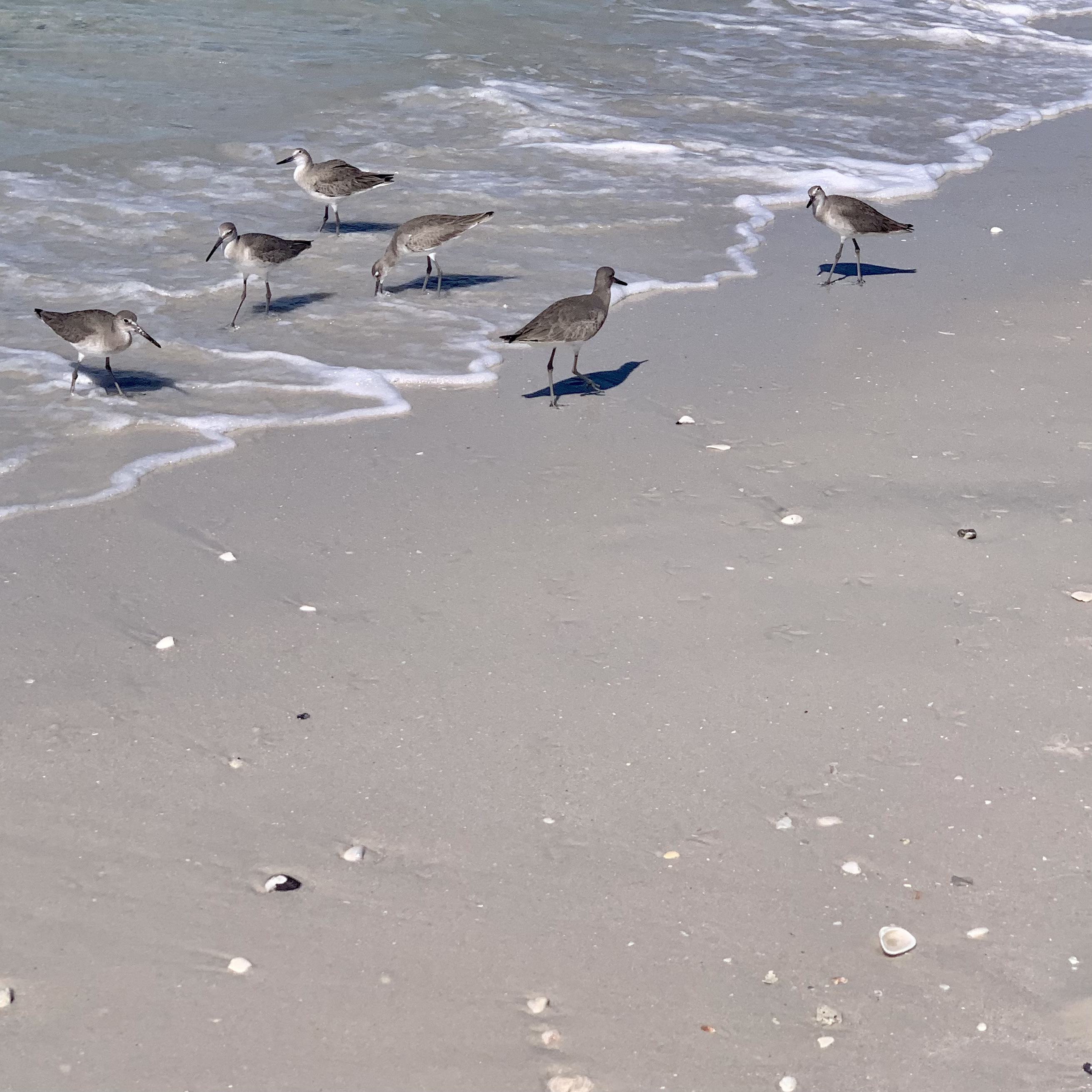 Among the Broken Shells: a poem to pray for others - A Scriptured Life