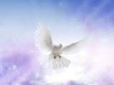 Soul Vs Spirit Difference And Comparison