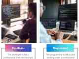 Developer Vs Programmer Difference And Comparison
