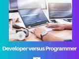 Developer Vs Programmer Difference And Comparison