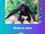 Difference Between Scala And Java