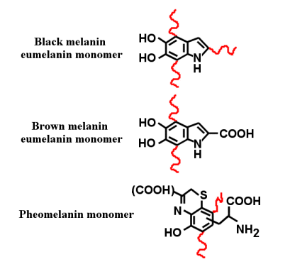 Hair color-Biochemistry by Mags Kavanaugh - AskMags.com