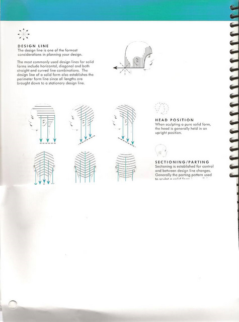 Pivot-Point- HAIRCUTTING-SECTIONS & PARTING - AskMags.com