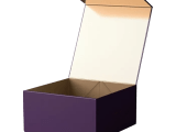 Collapsible Boxes Asm