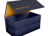 Collapsible Boxes Asm
