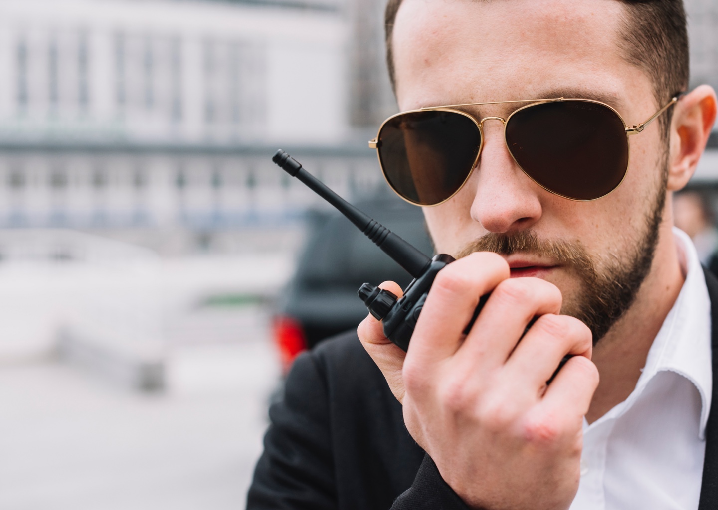 Services - Asphaleia Consulting