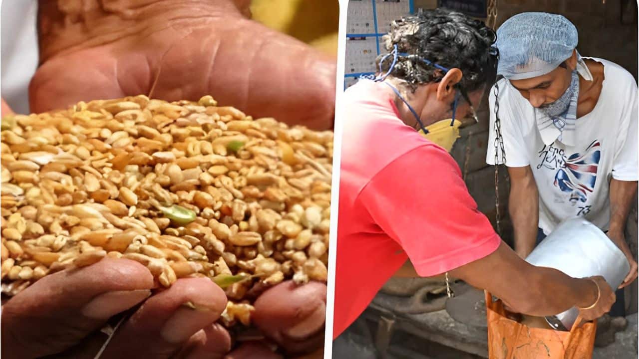 Free Ration Scheme 2023: मुफ्त सरकारी अनाज के लिए बनवा लें राशन कार्ड ...