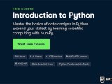Mejores Cursos Python En Datacamp Aprenda Python Fácil