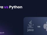 Java Vs Python Which Will Suit You Best