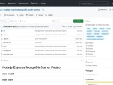 Nodejs Express Mongodb Starter Project Starter Index