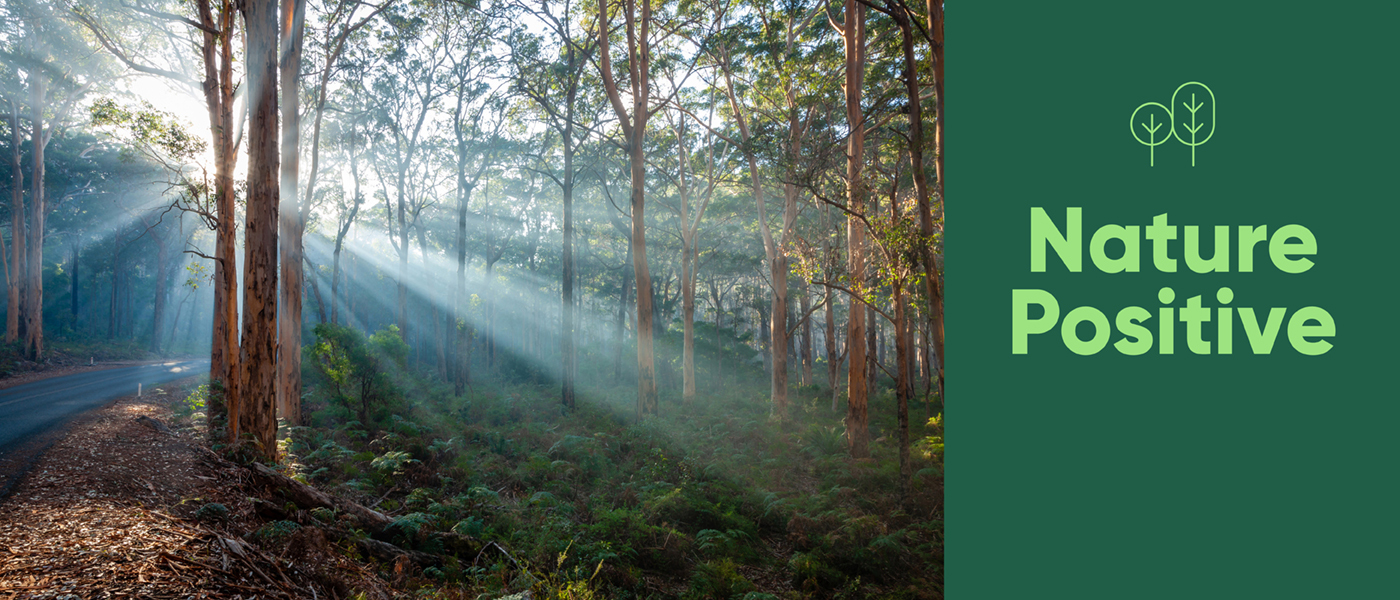 Wwf Australia Protecting Wildlife And Their Habitat Wwf Australia