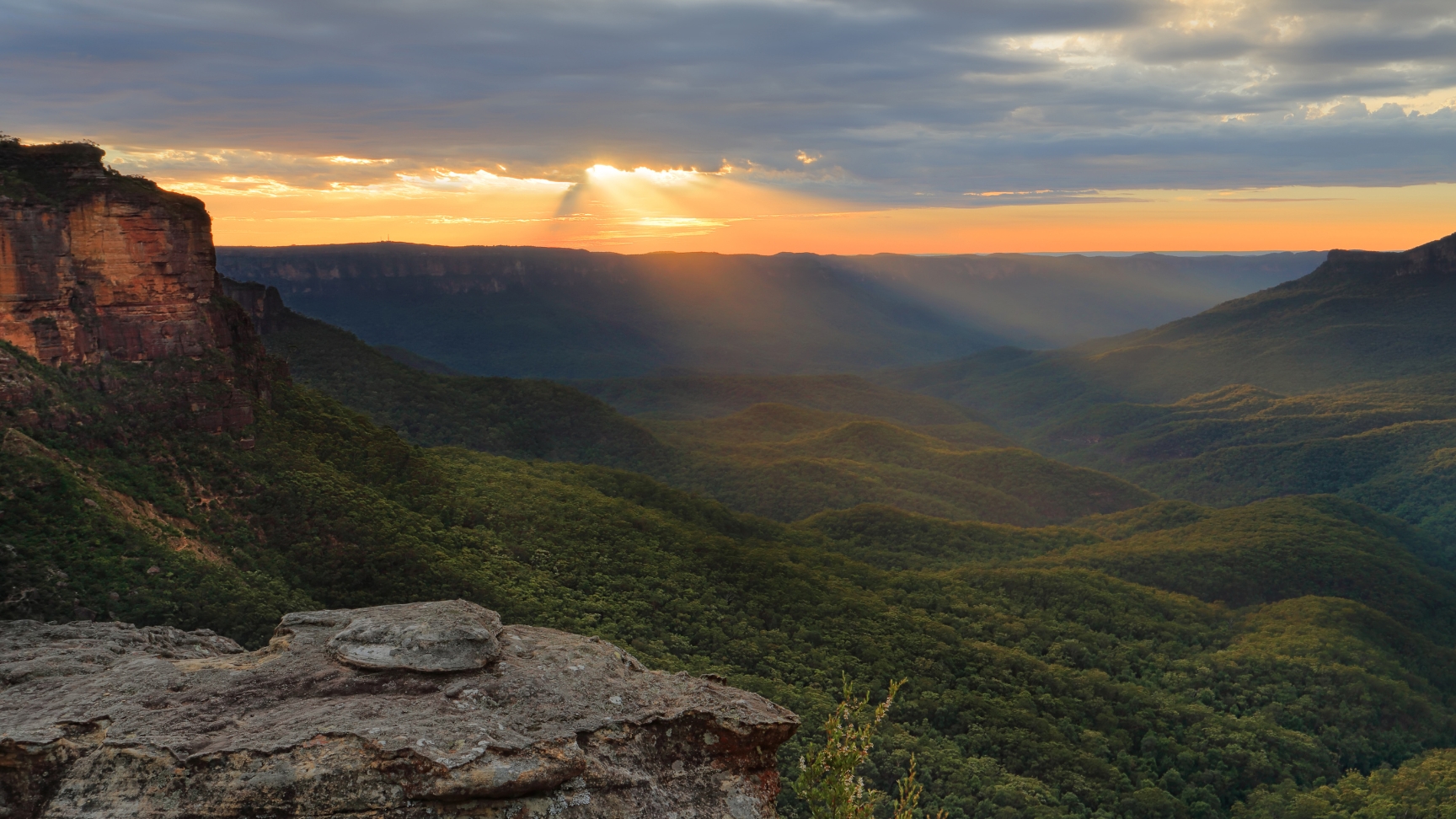Wwf Australia Statement On 1080 Wwf Australia