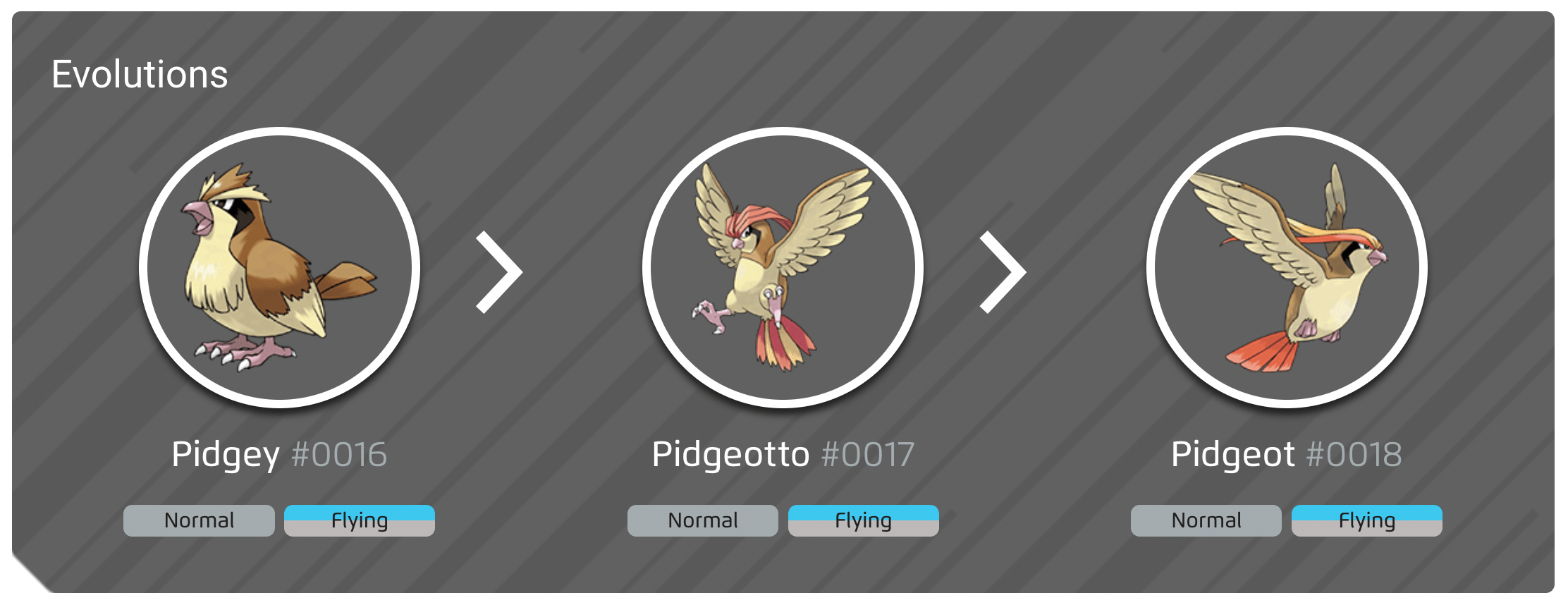Pidgey 100 Perfect Iv Stats Shiny Pidget In Pokémon Go Eurogamer Net