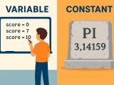 Python Variables Vs Constants Explained Easy Guide