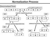 Case Study On Data Model Normalization By Surveying Project