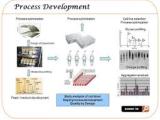 Process Development Assignment Point