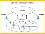 Complex Adaptive System Assignment Point