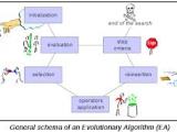 Evolutionary Algorithm Assignment Point