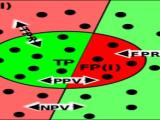 Binary Classification Assignment Point